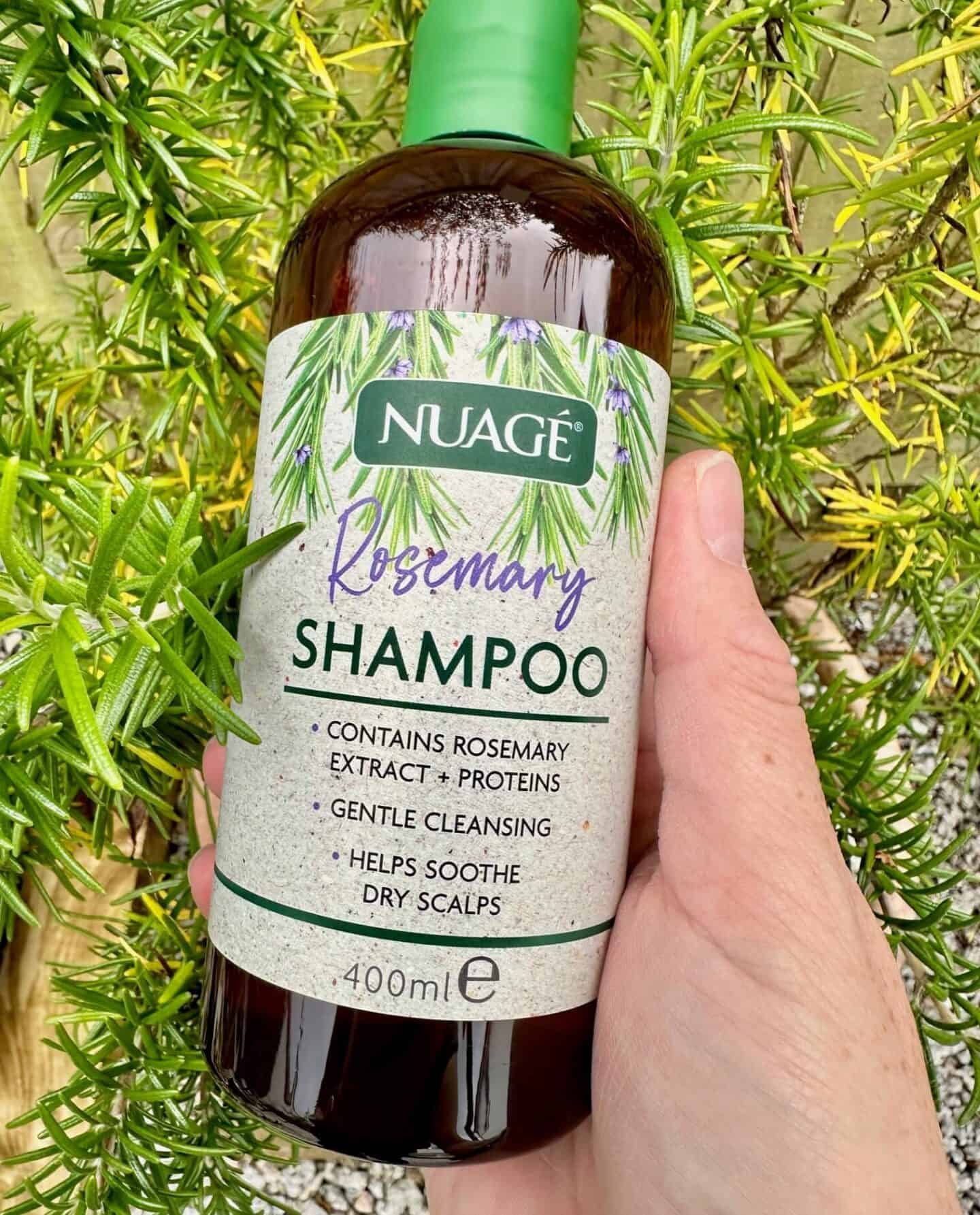 Why Rosemary Shampoo is the Secret to Strengthening Hair - Rachel Bustin